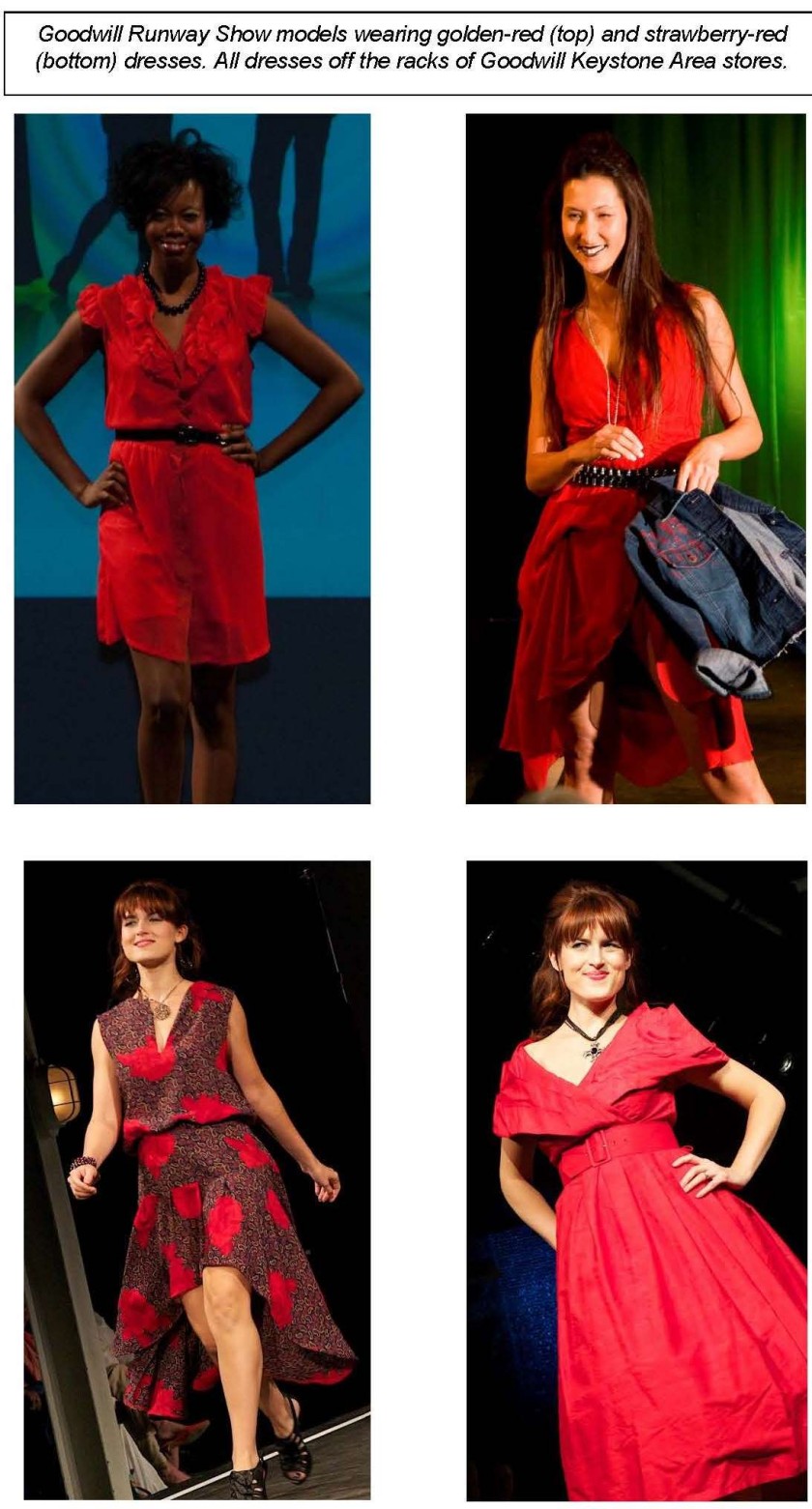 Goodwill Runway Show
